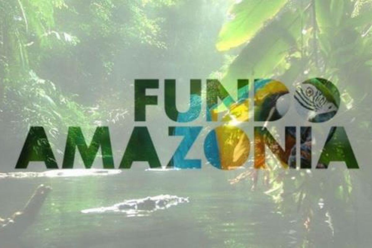 Fundo Amazônia Entenda O Que é Como Funciona Esse Investimento Fala