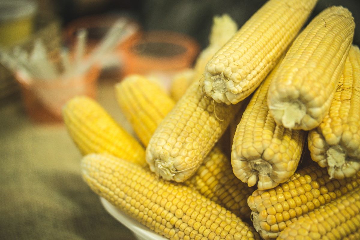 Confira 5 receitas de comidas típicas de festas brasileiras - Fala ...